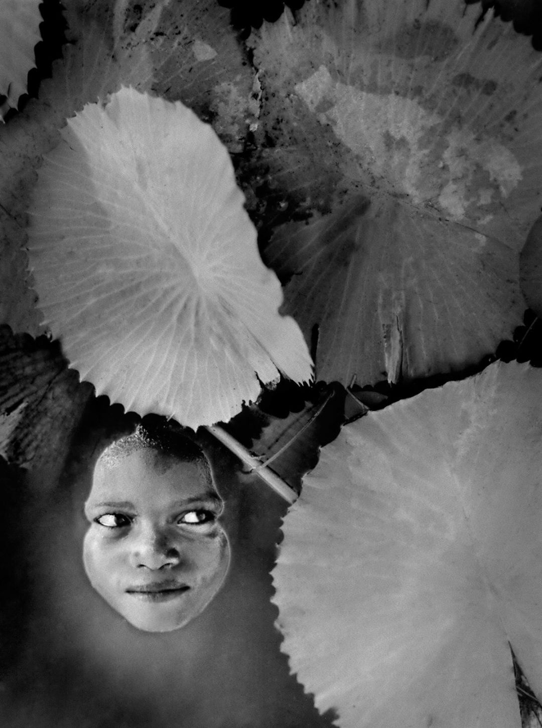 Tafari Exhibit | Throckmorton NYC | Throckmorton Fine Art Gallery New York